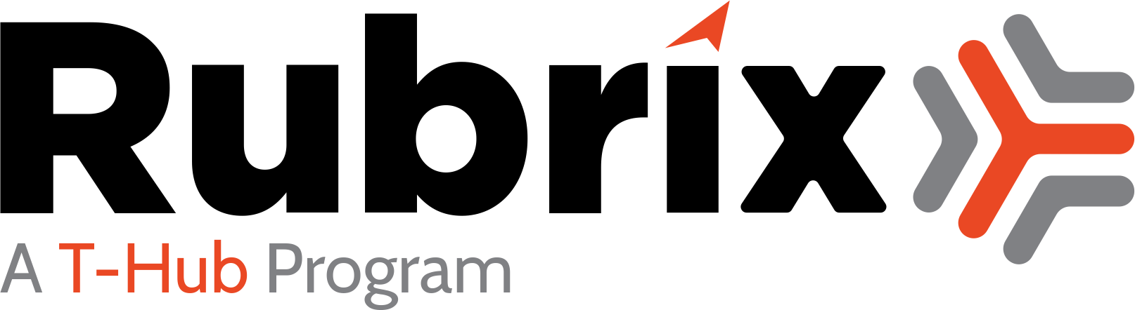 RUBRIX – T-Hub Programs