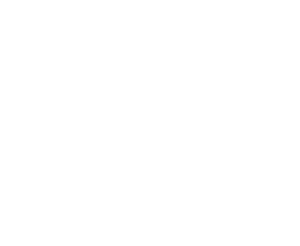 MBRDI - Launchpad - T-Hub Programs