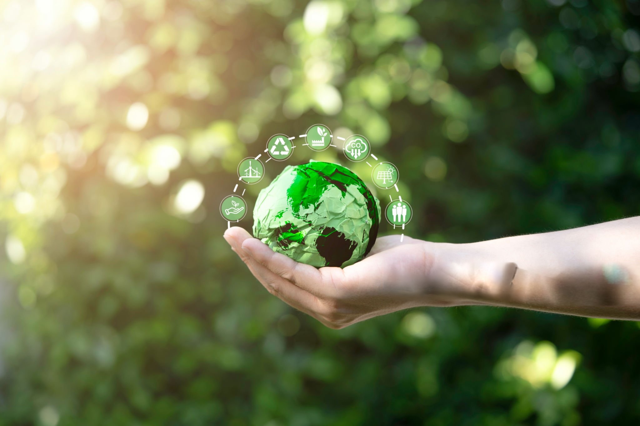 AIC Sustainability Program - T-Hub Programs